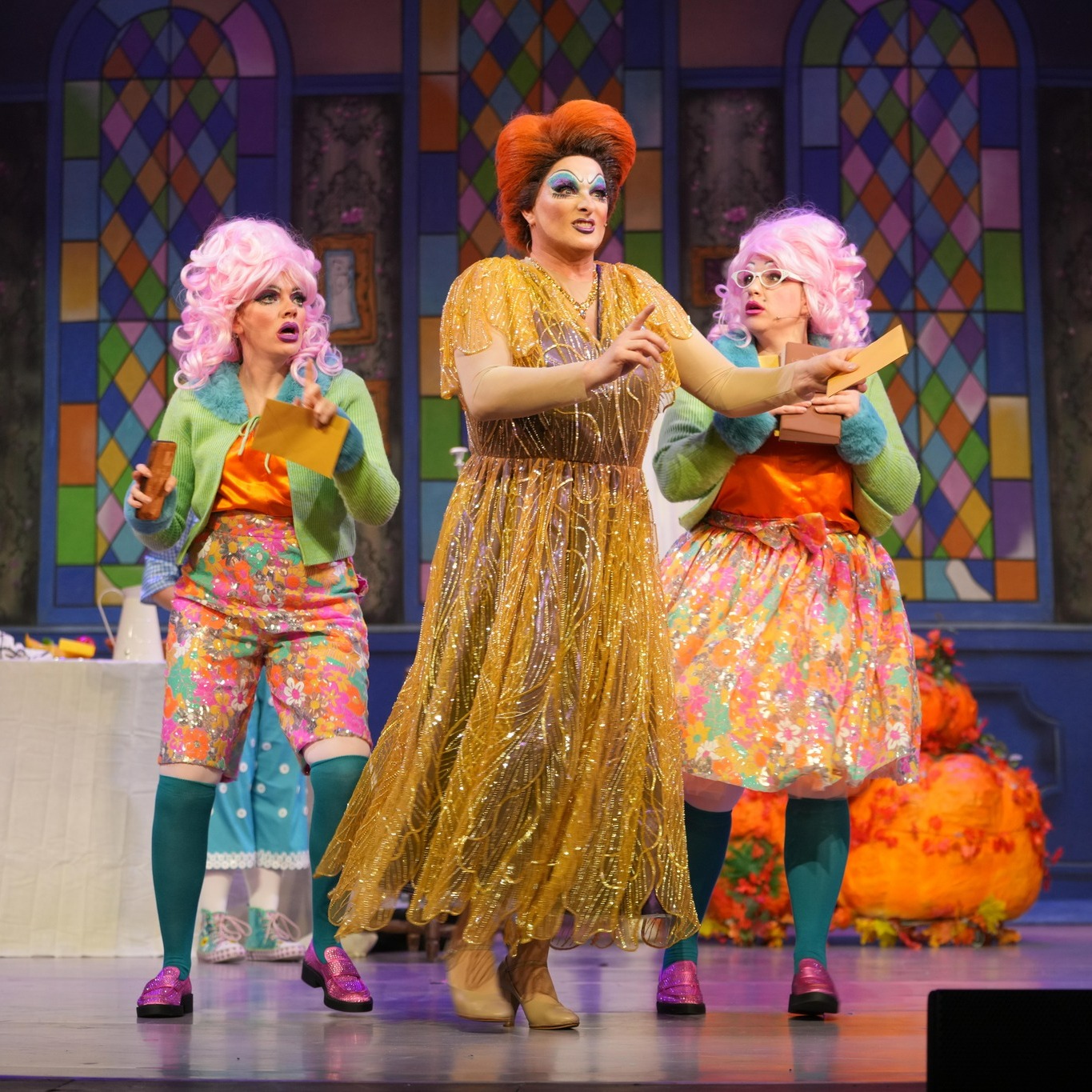 Cinderella the Pantomime – Deb and Dave’s Adventures!